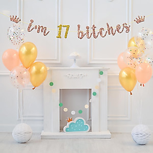 I'm 17 Bitches Banner, 17th Birthday Party Decor, Funny Seventeen Years Old Birthday Banner, Girl's 17th Birthday Party Decorations (Rose Gold)