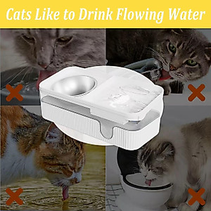 Cat Fountain Water Bowl Stainless Steel, Royal Claws101oz/3L Automatic Pet Water Fountain, Dog Water Dispenser Cat Feeding Watering Supplies with 2 Filters for Cats, Dogs, Pets Blue (White(2 in 1))