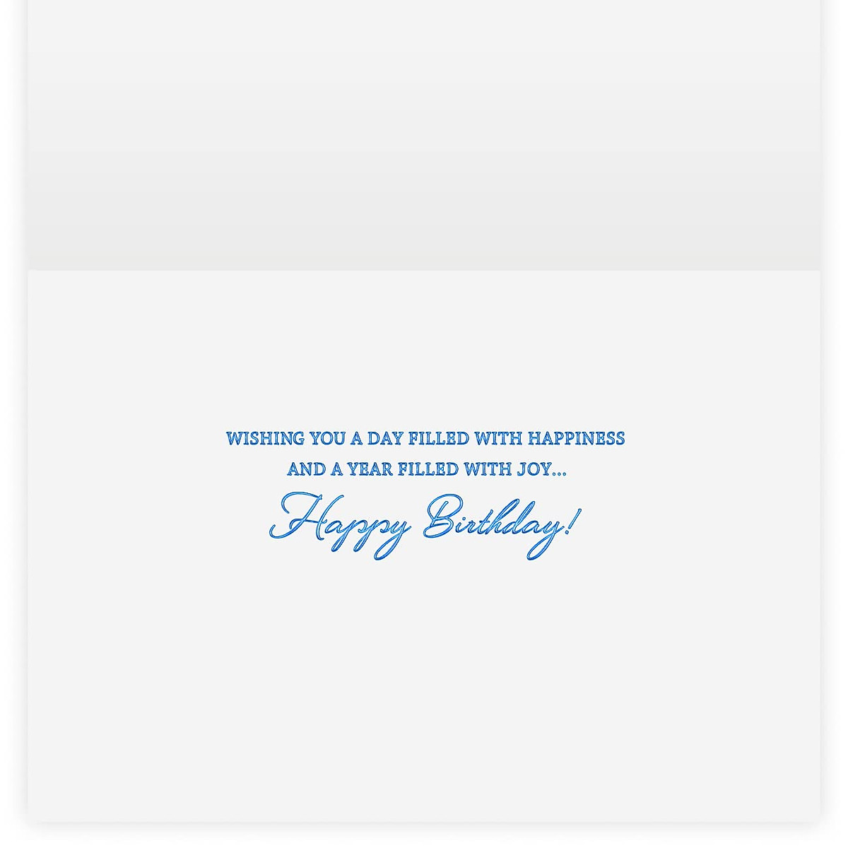 The Gallery Collection, 1 Count Card Pack, Birthday Card with Pearl Lined Envelope (Birthday Bliss)