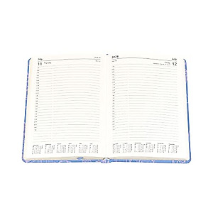 Collins Tara 2024 Diary A5 Day to Page Journal (with Appointments) - Lifestyle Planner and Organiser for Office, Work, Personal and Home - January to December 2024 Diary - Daily - Red - TA151.15-24