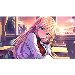 アイカギ2 プレミアムエディション - PS4 (【特典】水着の綾乃と浜辺デートB2タペストリー、オリジナルサウンドトラックCD 同梱)