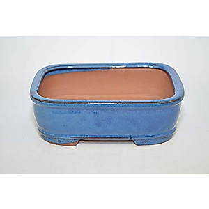 Bonsai Ceramic Pot 7", Blue Color, Rectangle Shape, Glazed with draining Holes.