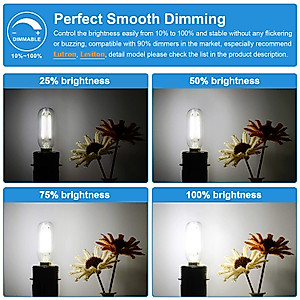 Dimmable E12 Candelabra LED Bulbs 60W Equivalent 6W 600lm, T6 Edison Light Bulbs, 5000K Daylight White, Clear Filament Chandelier LED Light Bulbs, Small Vintage Bulbs for Ceiling Light Fan, 12-Pack