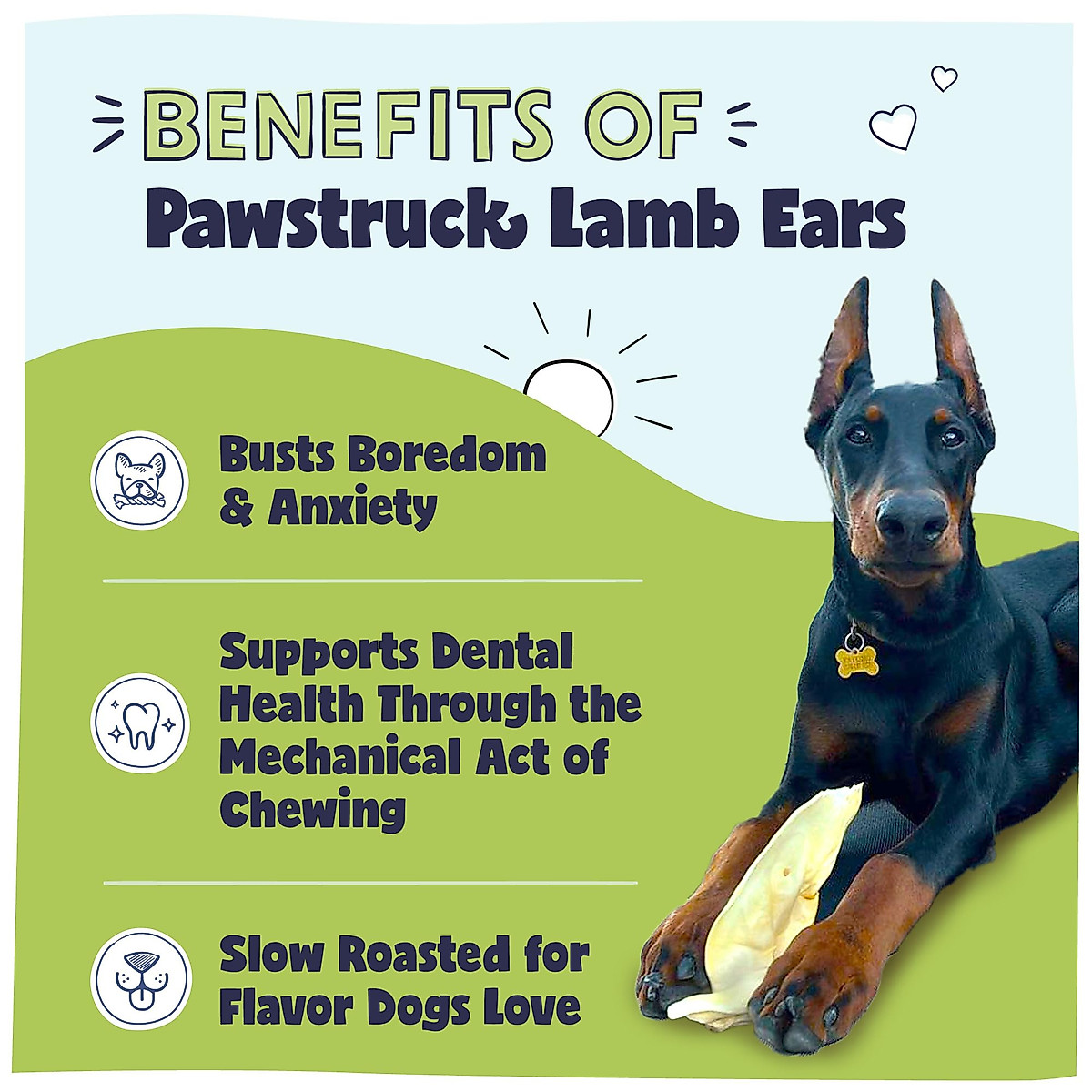 Pawstruck Natural Lamb Ears Chew Treats for Small & Medium Dogs - Healthy Low Fat, No Artificial Preservatives, Single Ingredient, Highly Digestible Animal Ear - 10 Count - Packaging May Vary
