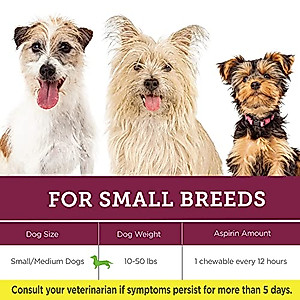 Vetality Canine Aspirin for Dogs | Fast Pain Relief | Small to Medium Dogs | Liver Flavor | 75 Chewable Tablets