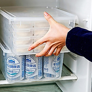 BESTonZON Dumpling Storage Box, Food Storage Containers with Lids, Reusable 21 Grid Dumpling Box Bins Holder with Lids for Refrigerator, Good Sealing Stackable Food Containers for Kitchen and Fridge