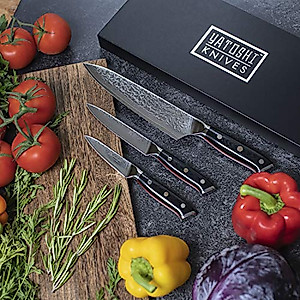 Yatoshi Damascus Pro Kitchen Knife 3 Set Ultra Sharp High Carbon VG10 Steel