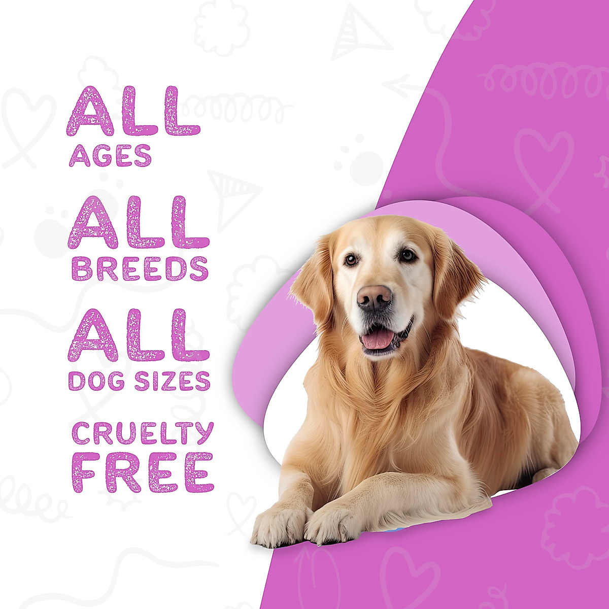 waggedy Advanced Probiotics Gut & Digestion Food Topper — Digestive Enzymes w/Papaya — Probiotic Powder — Dog Supplement Powder — Products for Dogs Over 6 Weeks (114g)