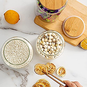 MOLADRI 480ML/16Oz Clear Cute Glass Storage Canister Holder with Airtight Bamboo Lid, Modern Decorative Small Container Jar for Coffee, Spice, Candy, Salt, Cookie, Condiment, Pepper, Sugar