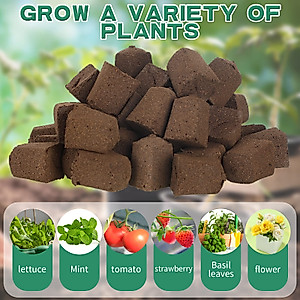 Amyhill Hydroponic Sponges Grow Starter Pods Organic Rooter Plugs Growth Sponge Starter Plugs for Plant Growing Cloning (200 Pieces)