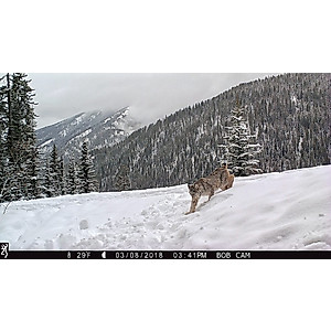 Browning Trail Cameras Strike Force HD Pro-X Camera with 32 GB SD Card,Batteries,and Spudz Microfiber Cloth Screen Cleaner