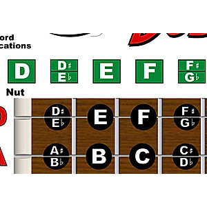 Dobro Open D Tuning Resonator Guitar Fretboard Note & Rolls Chart - Beginners & Intermediate Instructional Easy Poster Chords 11x17 | A New Song Music