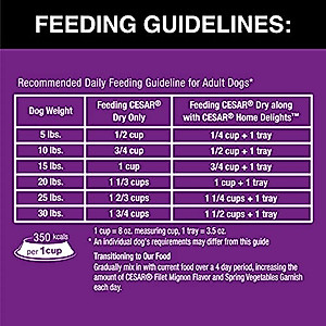 CESAR Small Breed Dry Dog Food Filet Mignon Flavor with Spring Vegetables Garnish Dog Kibble, 12 lb. Bag