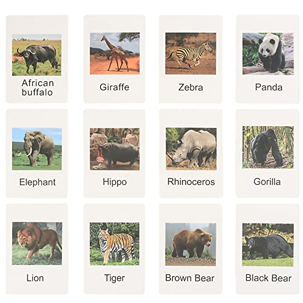 MIKNEKE Montessori Animal Figures with Flash Cards, Realistic Animal Figurines Toys, Montessori Materials Homeschool Preschool Science Educational Matching Game for Toddler Kids (Zoo)