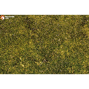 Warzone Studio 3’ x 3’ Rubber Battle Mat: Meadows + Bag