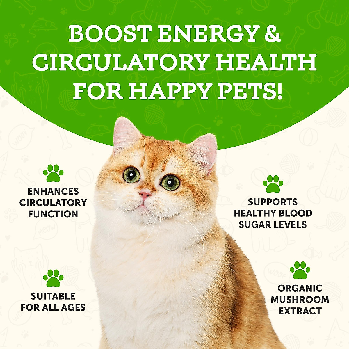 Animal Essentials Wellness Maitake Mushroom Supplement for Dogs & Cats - Healthy Immune Response, Supports Circulatory Function, Critical Immune Defense, Mushroom Powder Extract - 2.8 Oz (Pack of 1)