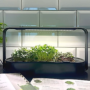 ingarden Superfood Microgreens Indoor Growing Kit with 3 Starter Seed Pod Trays and Grow Light, Smart Indoor Garden (Ceramic) | Jet Black