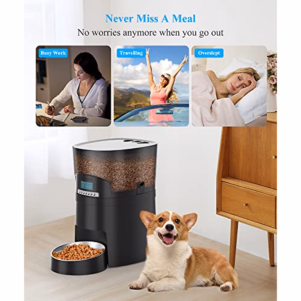 Cat Feeder, HoneyGuaridan 4.5L Automatic Pet Feeder for Dogs Food Dispenser Auto Cat Feeder – 6 Meal Portion Control, Distribution Alarm, Programmable Timer Feeder, Customizable Voice Recorder Black