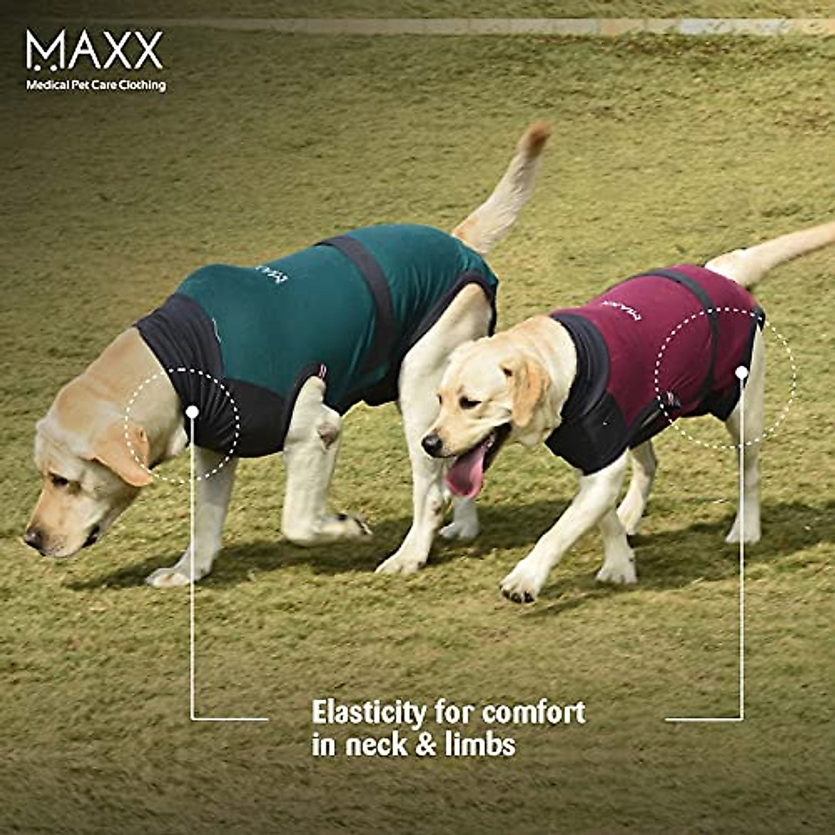 MAXX Recovery Suit for Dogs, E Collar Alternative, Post-Operative Onesie by Vet (Ruby Red Grey, M+)