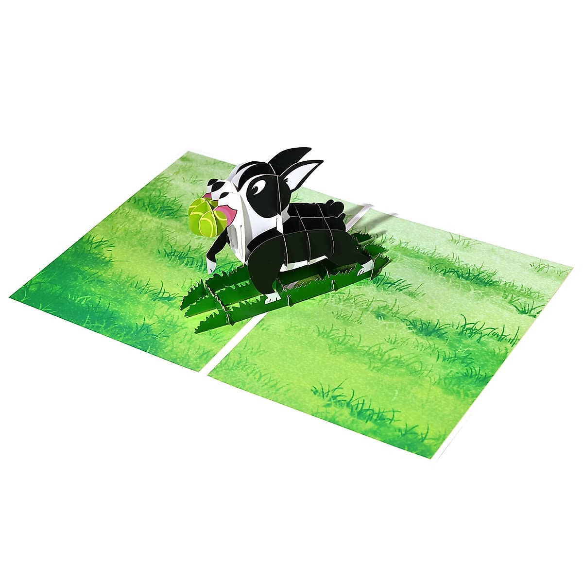 GREETING ART Dog Pop Up Card,3D Pop Up Card,Pop Up Birthday Card,Boston Terrier Pop Up Card, Dog Lover Card,Thank You Card for Mothers Day, Fathers Day,Valentines Day, Birthday, All Occasion