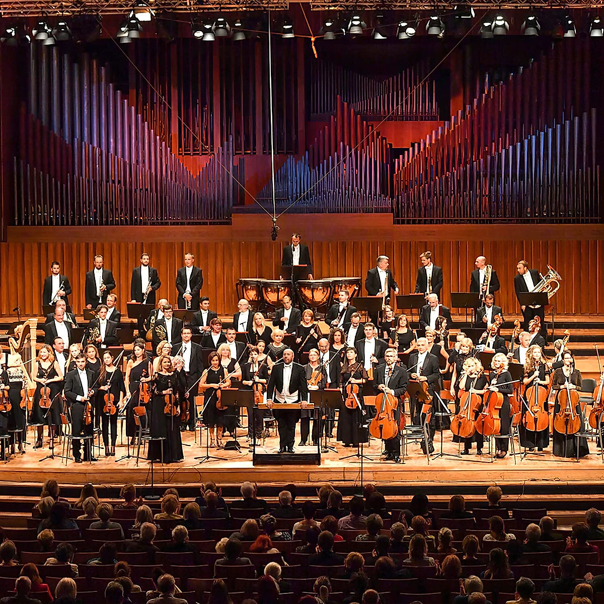 BETOPPER Stage Spotlight with/Barn Door, 200W COB Stage Light, Warm & Cold White LED DMX Light, Master-Slave Spot Light Strobe Lighting, Fresnel Lights for Church Wedding Theater Photo Studio(1 Pack)