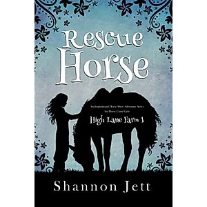 Rescue Horse (High Lane Farm)