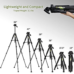 Endurax 66 Tripod for Camera and Phone Camera Tripod Stand with Quick Release Plate Compatible with iPhone Nikon Canon DSLR Heavy Duty and Sturdy