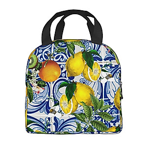 Larklitz Mediterranean Lemon On Blue Ceramic Tiles Reusable Insulated Lunch Bag for Women and Men, 8.5"x8"x5"/22x20x13 cm, Polyester