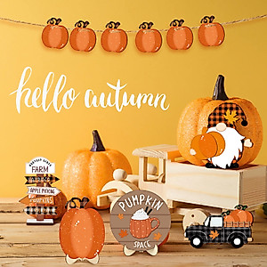 16 Pcs Fall Tiered Tray Decor Set Thanksgiving Pumpkin Wooden Sign Gnomes Truck Farmhouse Rustic Tray Decoration for Fall Thanksgiving Home Table Kitchen, Trays Are Not Included