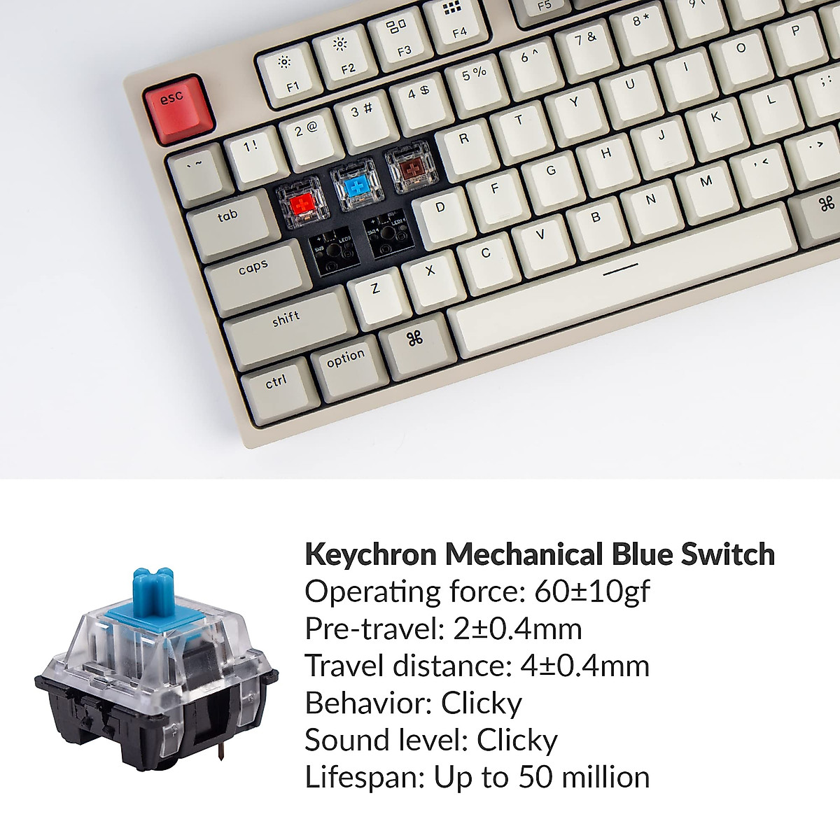 Keychron C1 Hot-swappable Wired Mechanical Keyboard for Mac Layout, Keychron Mechanical Blue Switch/USB Type-C Cable/Double-Shot ABS Keycaps Tenkeyless 87 Keys Computer Keyboard for Windows PC