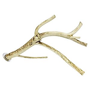 Multi-Branch Perch (Medium) - Durable Natural Climbing Branch Perch Cage Accessory - Sugar Gliders, Squirrels, Prairie Dogs, Degus, Marmosets, Monkeys, Parrots, Birds, Rats, Reptiles, Amphibians