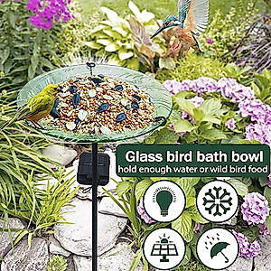 SUBOLO Bird Bath for Outdoors Solar Powered Glass Bird Bath Bowl with Metal Stake for Yard Lawn Garden Decorations, Transparent