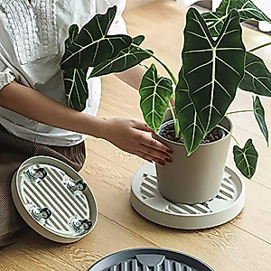 auons Plant Caddy with Wheels, Rolling Plant Stand with Casters Heavy Duty Plant Dolly, Plastic Plant Roller Base, Movable Planter Trolley for Heavy Duty Planter, Beige, 12.4in