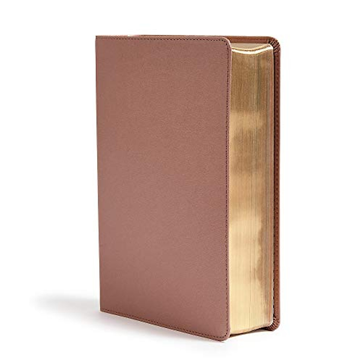 CSB She Reads Truth Bible, Rose Gold LeatherTouch, Black Letter, Full-Color Design, Wide Margins, Journaling Space, Devotionals, Reading Plans, Single-Column, Easy-to-Read Bible Serif Type