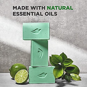 DOVE MEN + CARE Plant-Powered Natural Essential Oil Bar Soap Reinvigorating Lime + Avocado Oil to Clean and Hydrate Mens Skin 4-in-1 Bar Soap for Men's Body, Hair, Face and Shave. 5 oz