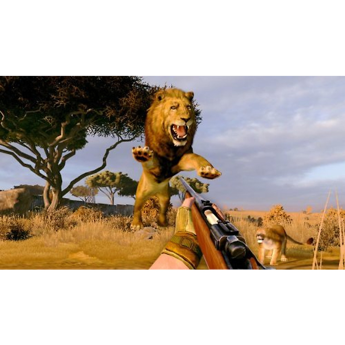 Cabela's Dangerous Hunts '09 - Xbox 360 (Renewed)