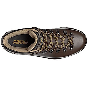 Asolo Men's TPS 520 GV EVO Long Distance, Backpacking, Trekking, Technical Terrian Hiking Boots (Chestnut, 11)