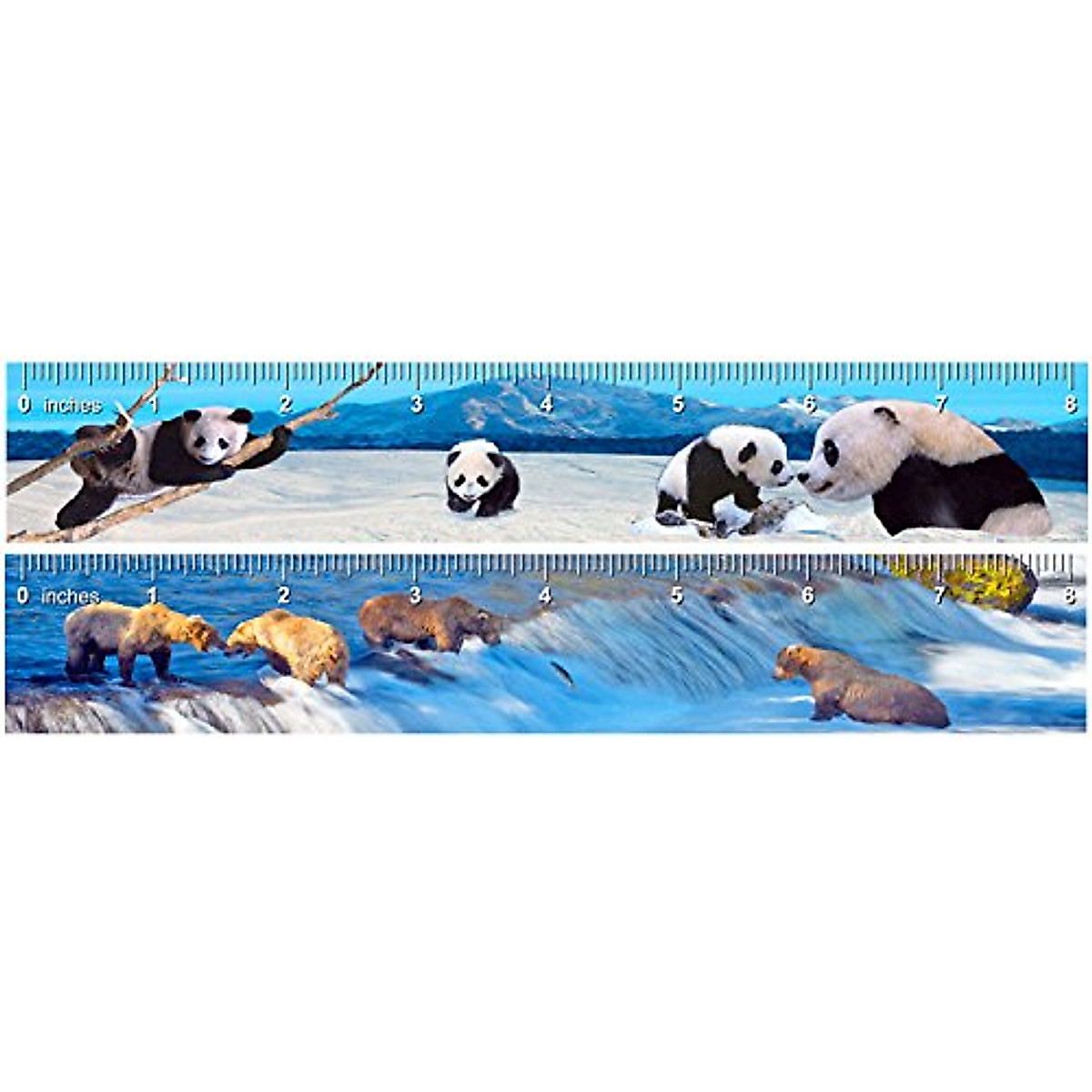 Authentic Collection 2-8" 3D Lenticular Rulers - Grizzly Bears Fishing and Panda Family