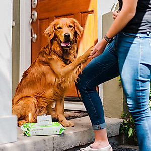 Earth Rated Hypoallergenic Dog Wipes, Cleaning and Odor-Controlling Grooming Wipes for Paws, Body, and Butt, Perfect for Puppy and Adult Dogs, Unscented, 100 Count