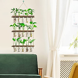 Monsiter QE 3 Tier Large Propagation Stations Wall Hanging Plant Terrarium with Wooden Stand, Retro Propagation Test Tube for Hydroponic Plants Cutting Flower, Propagator Home Office Patio Decor-Brown
