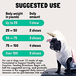 LEGITPET Hemp Hip & Joint Supplement for Dogs Soft Chews Made in USA Functional Glucosamine for Dogs Chondroitin MSM Turmeric Hemp Seed Oil Natural Pain Relief Mobility Advanced Joint 120 Treats