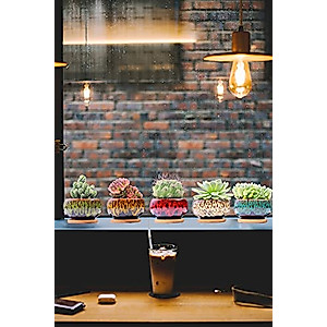 LAMDAWN Cute Ceramic Succulent Garden Pots, Planter with Drainage and Attached Saucer, Set of 5 -Plants Not Included (Round)