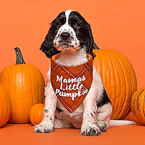 4 Pieces Thanksgiving Dog Bandana Fall Plaid Bandanas for Small to Large Dogs Puppy Cat Pet Triangle Bandana Scarf Adjustable Holiday Dog Bandana Bibs Party Costume