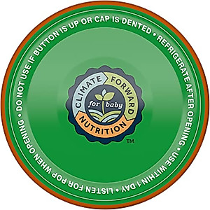 Gerber Organic for Baby 1st Foods Baby Food Jar, Carrot, USDA Organic & Non-GMO Pureed Baby Food for Supported Sitters, 4-Ounce Glass Jars (Pack of 6)