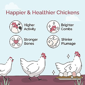 Mile Four | Oyster Shell | Calcium Supplement for Chickens | Natural Crushed Limestone Calcium Carbonate | Eggshell & Bone Booster for Laying Hens | US Mined | 4 lbs.