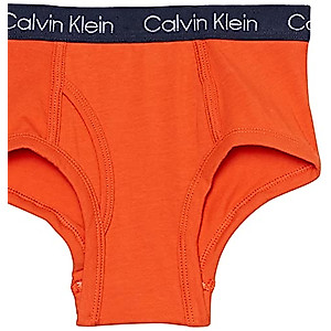 Calvin Klein Boys' Modern Cotton Assorted Briefs Underwear, Blue/Marl/SAMB, XS