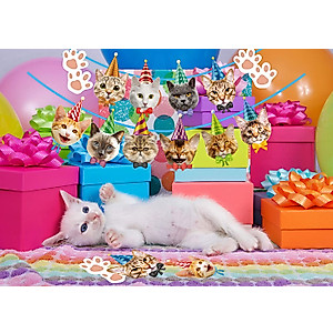 Cat Birthday Banner Not Need DIY Cat Birthday Decorations Cat Garland Cat Faces Banner for Birthday Party Decor