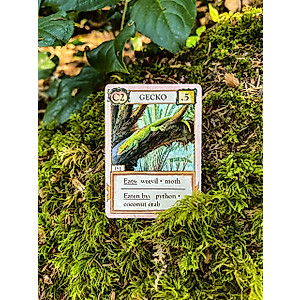 Montrose Biology Ecologies: Hidden Habitats - Use Science to Build Food Webs in 7 Biomes - Beautiful Vintage Nature Art for The Classroom or Game Night