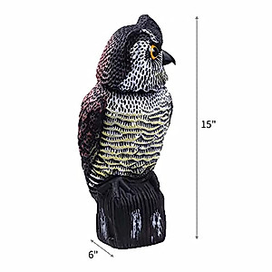 Hooyizer Owl Decoy 360 Rotate Head, Scarecrow Fake Owls Natural Enemy Realistic Owls to Scare Birds Away