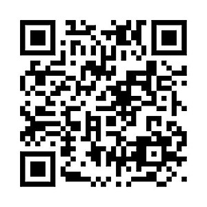 Schlagwerk BB50 Buzz Board